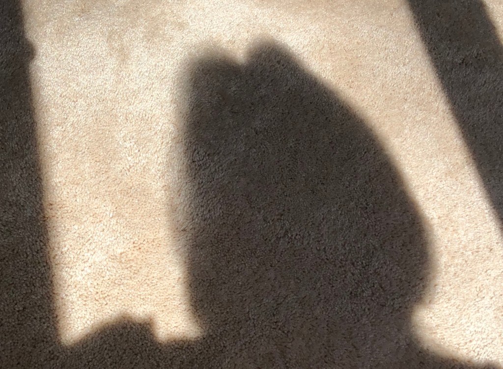 What Shadow Do I Cast? | Perfect Peace For Me